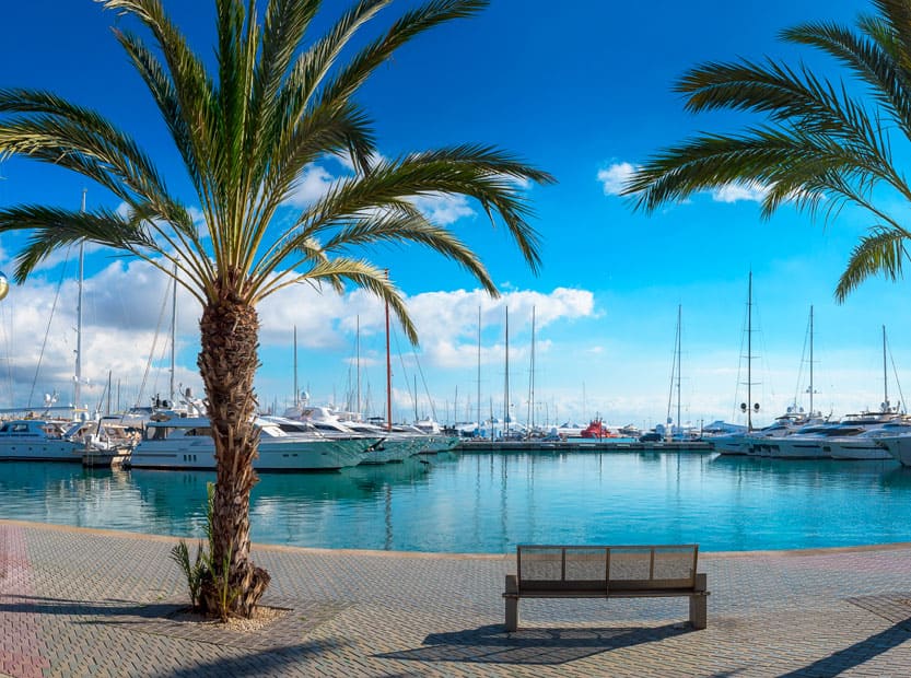 Yacht charter in Palma de Mallorca - OK Yachts
